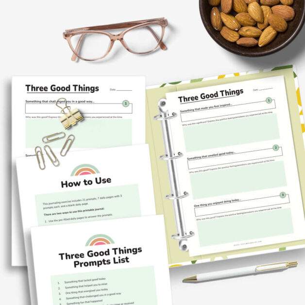 Three Good Things Printable Journal - Thriving Good Life